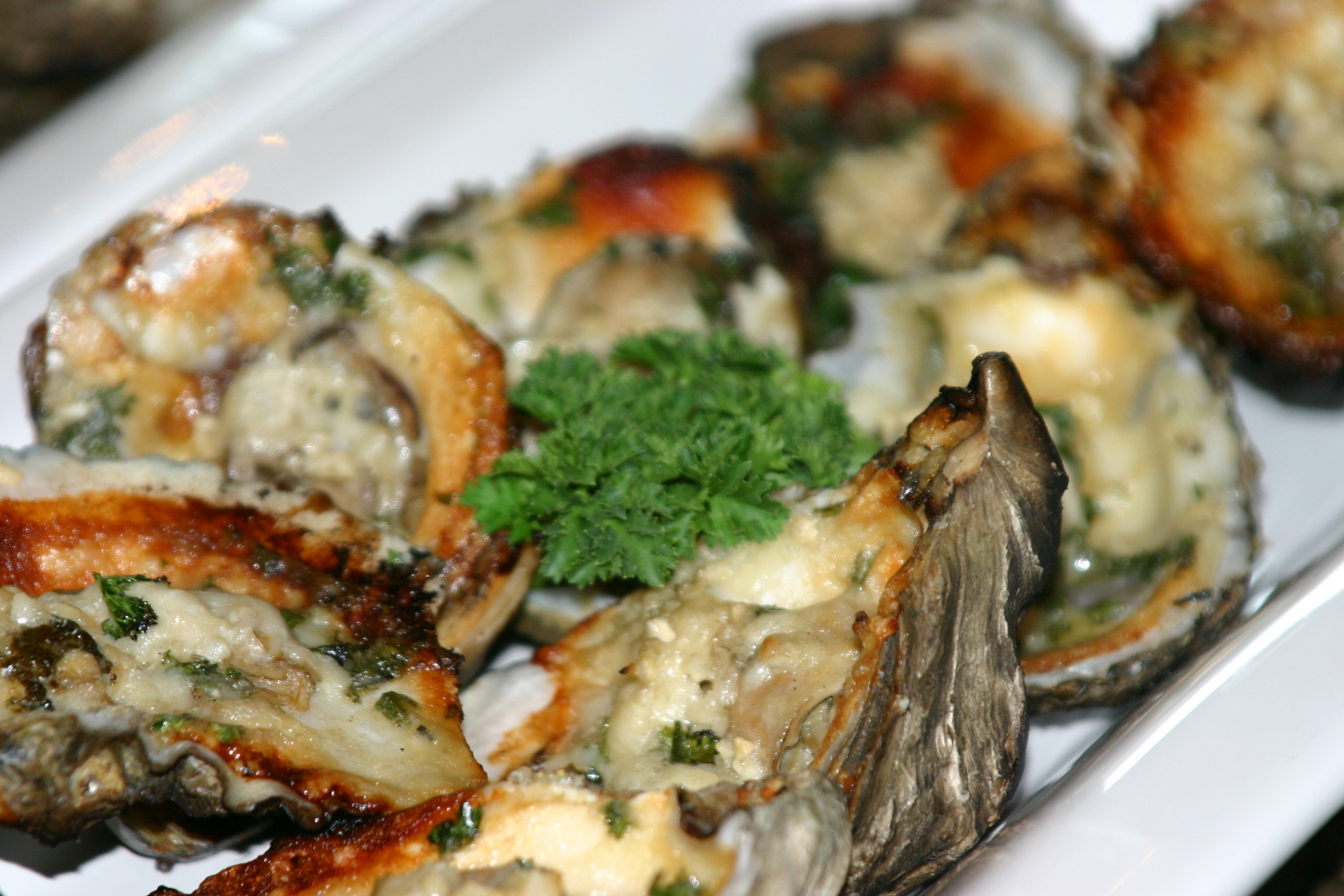 Upscale Dinner Menu Maison Louisiane Catering upscale-dinner-menu-maison-louisiane-catering